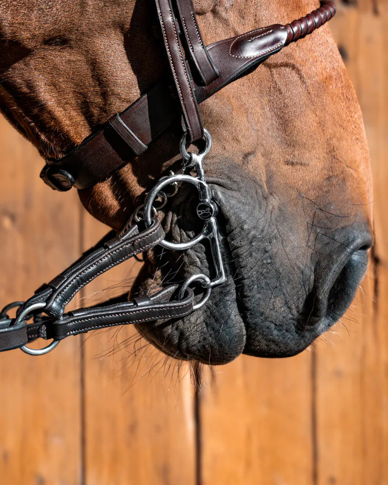 Fager Julia Baby Pelham – Puissance Equestrian